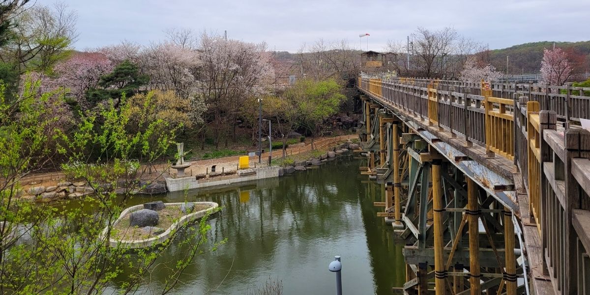 Beyond the Fence: How to Choose Your Korea DMZ Tour [2025] | Korea Travel Planning